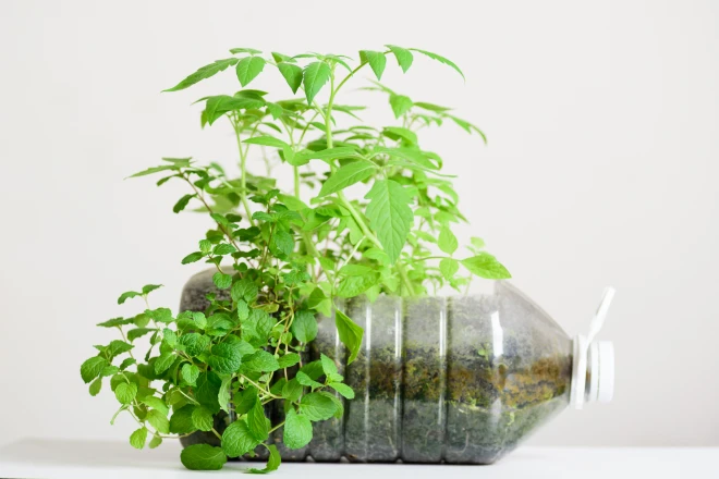 Technology at Discover